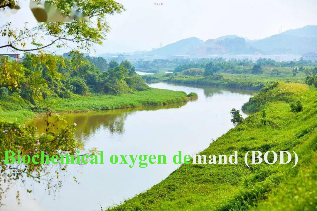 News - Biochemical Oxygen Demand (BOD)
